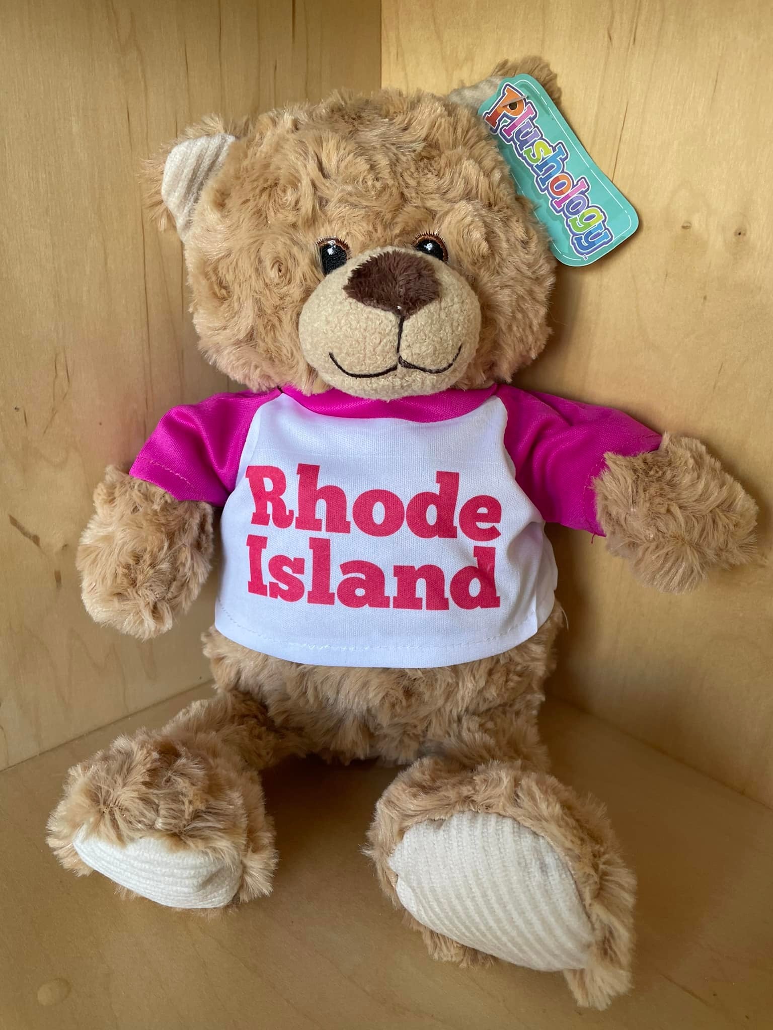 Pink Or Blue Teddy Bear | Ocean State Souvenirs